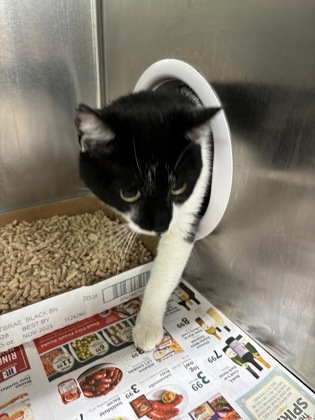 Hydrox - Young-Williams Animal Center