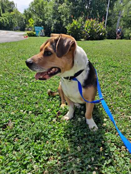 Snooter - Young-Williams Animal Center