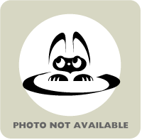 Sass - Young-Williams Animal Center